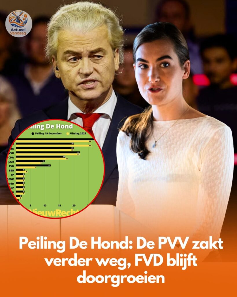 PVV verliest terrein in peilingen: Forum voor Democratie profiteert van ...