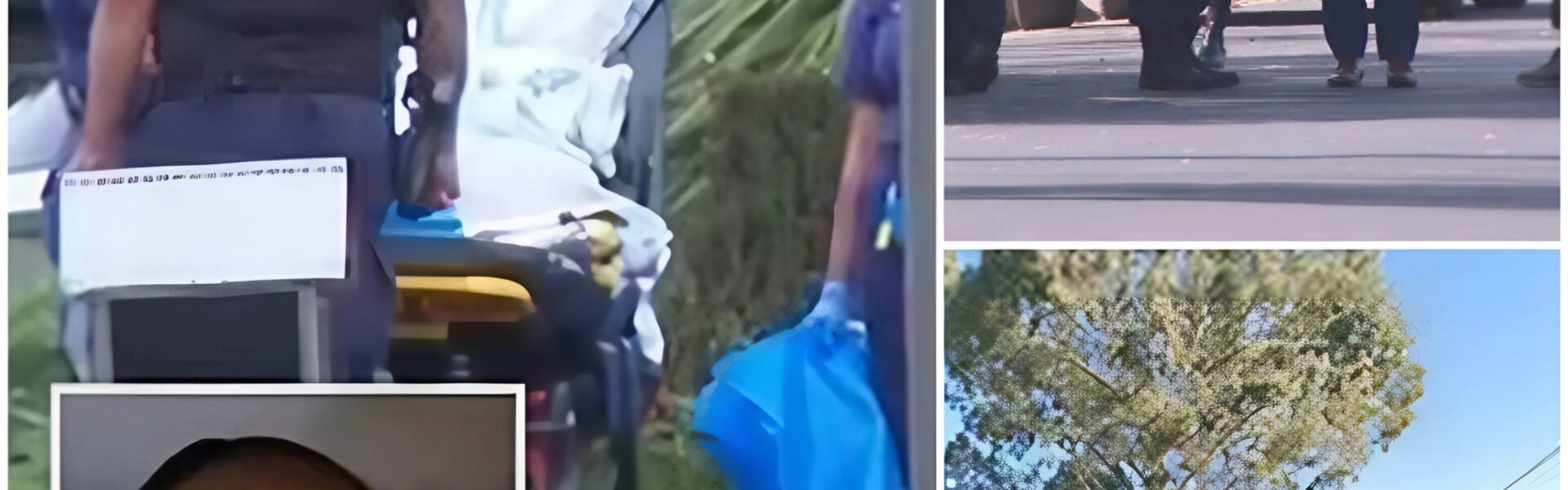 SCHOK IN SYDNEY: PASIFIKA-GEMEENSCHAP ROUWT OM SLACHTOFFERS VAN WREDE ...