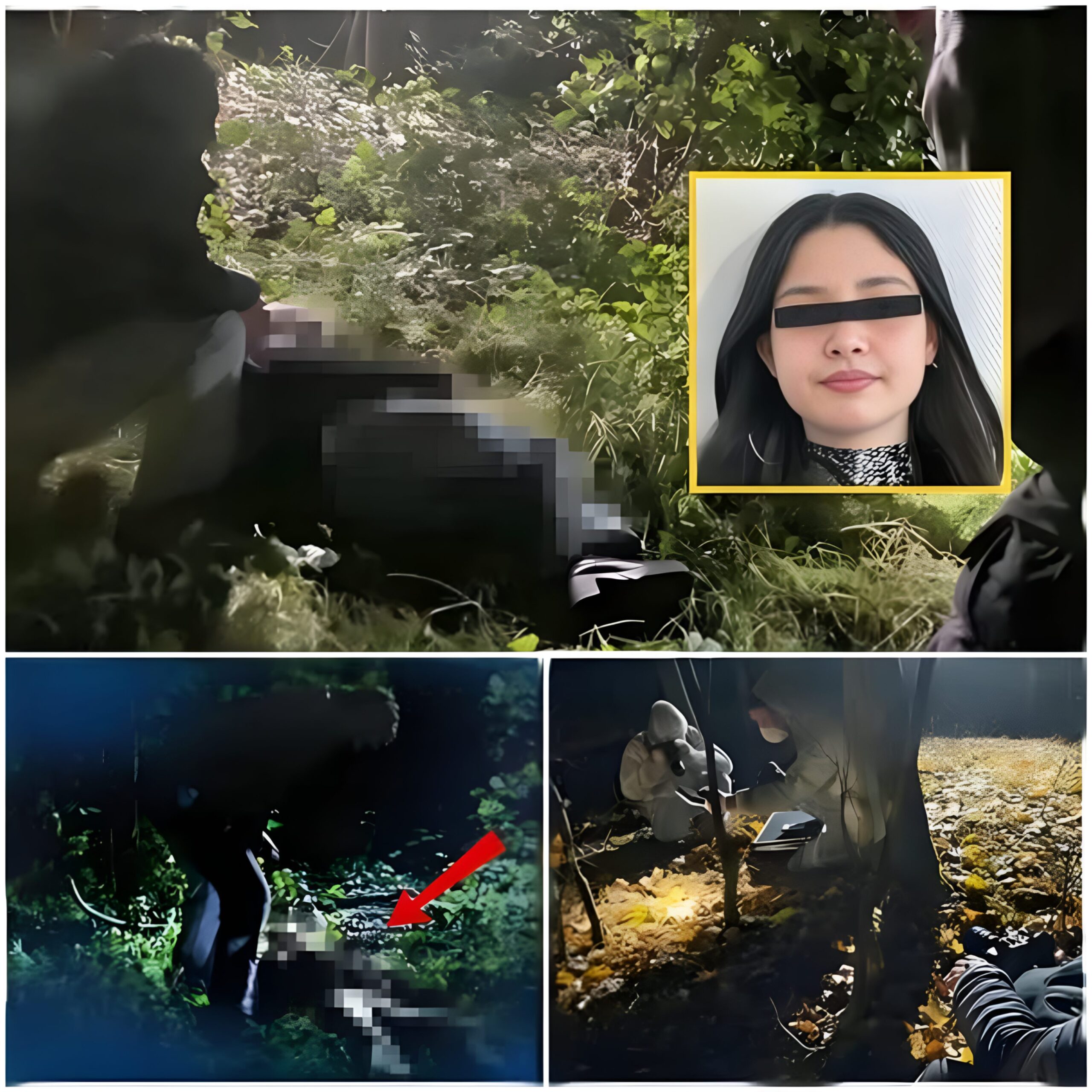 Mysterie rond dood van 26-jarige vrouw in het Amsterdamse Bos houdt ...